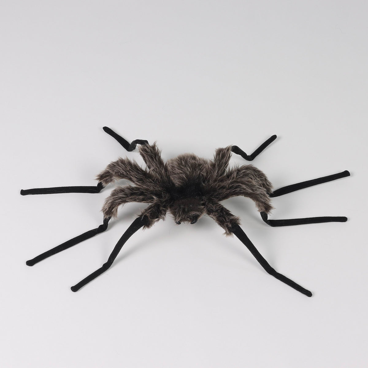 Halloween Light-Up Spider Decoration – Season2Season