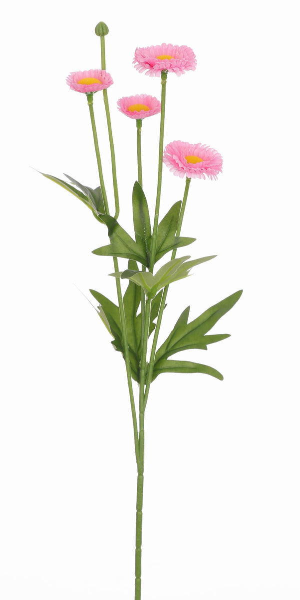 14.5" Aster Stem-Pink – Season2Season